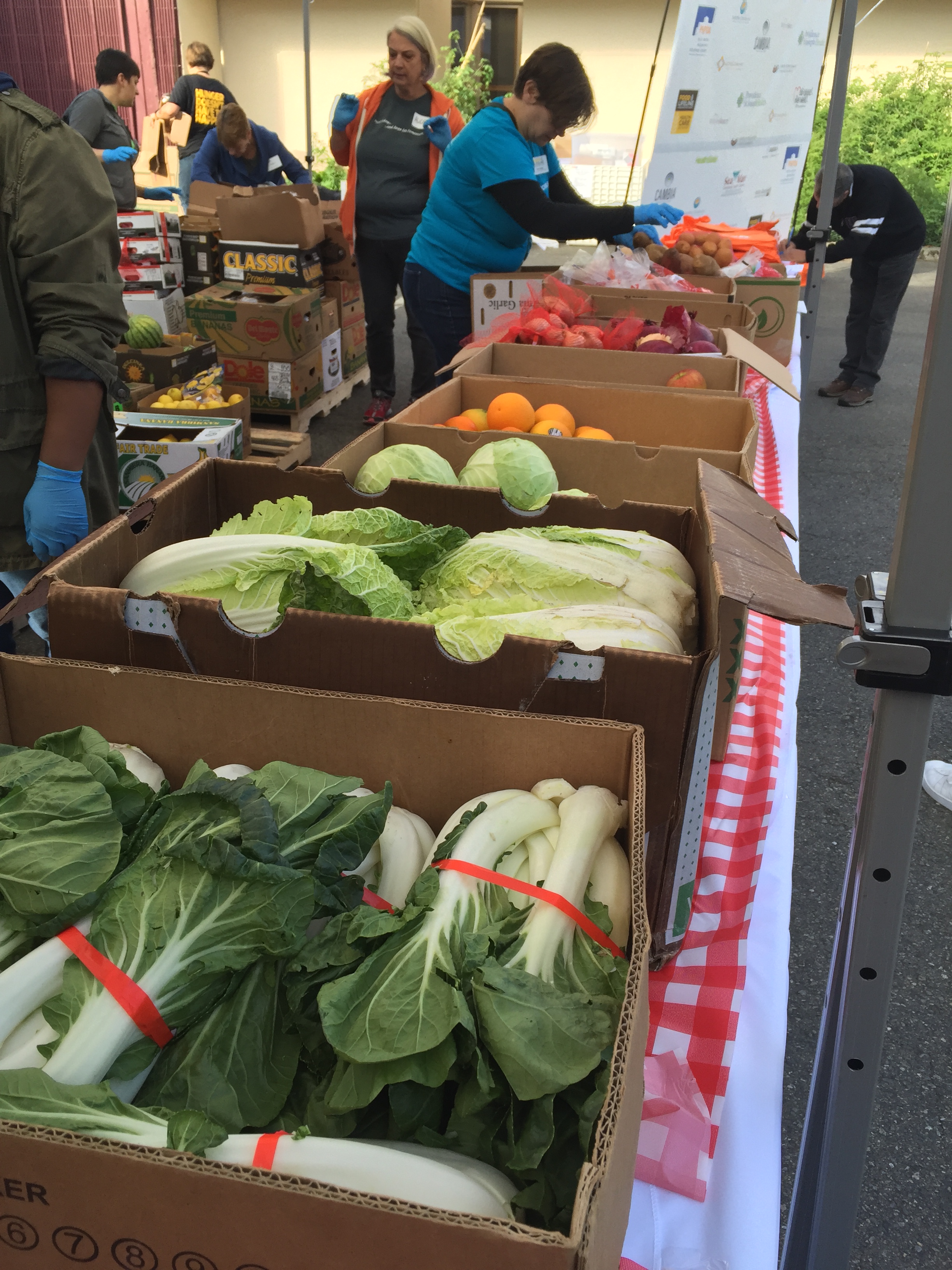 Our February Nonprofit of the Month: Food Lifeline - Pemco.com Blog