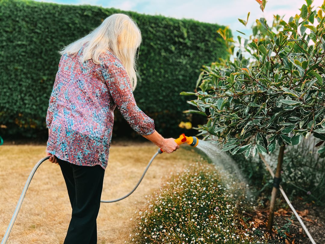 Can a green lawn help protect your home from wildfire?