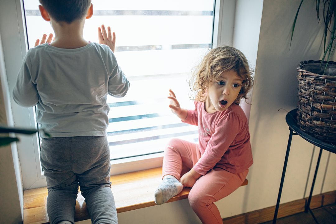 Shelter: What to do during a windstorm | PEMCO